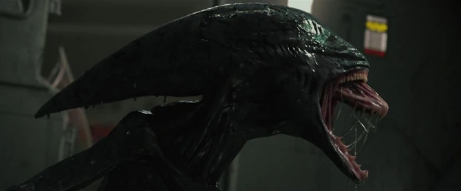 Xenomorph Species Wiki | Fandom