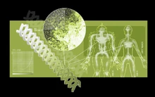 Alien Biology | Xenonauts Wiki | Fandom