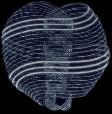 Ultimate physical atom | Xen qabbalah Wiki | Fandom