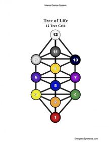 Tree of life | Xen qabbalah Wiki | Fandom