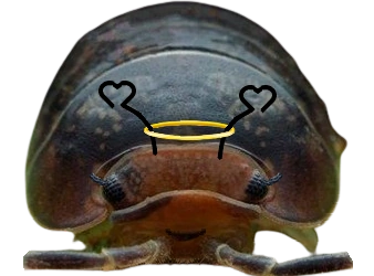 Holy-Poly | Xenu Wiki | Fandom