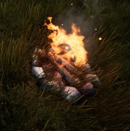 Campfire | Xera: Survival Wiki | Fandom