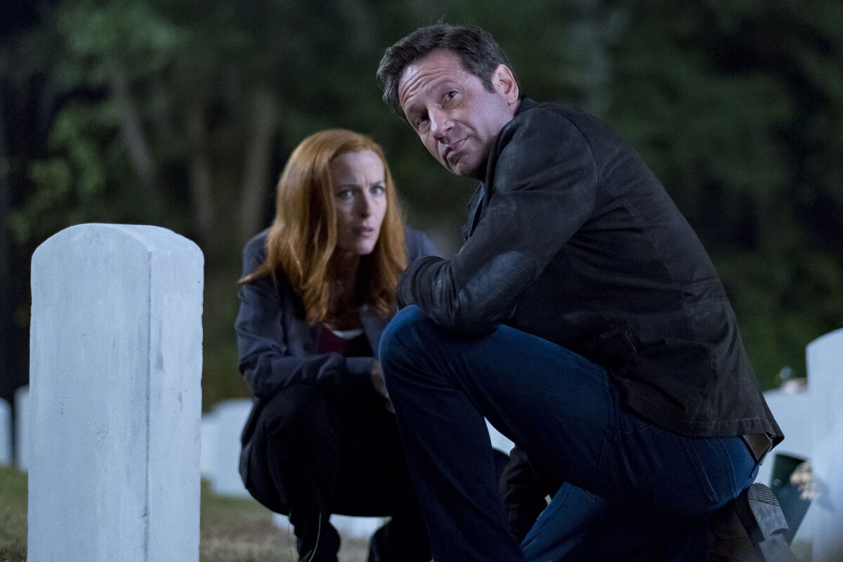 This Wiki X Files Fandom