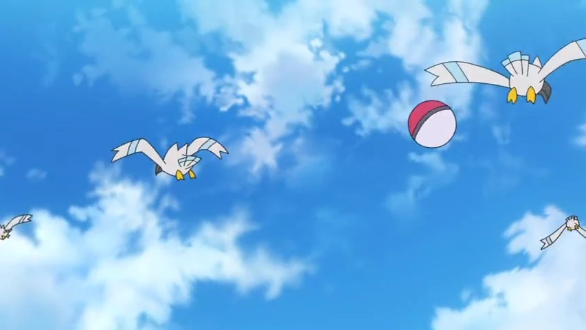 Wingull | Animated Character Database | Fandom