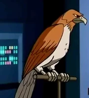 Redwing | Animated Character Database | Fandom