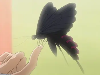 Hell Butterfly | Animated Character Database | Fandom