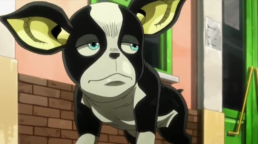 Iggy | Animated Character Database | Fandom