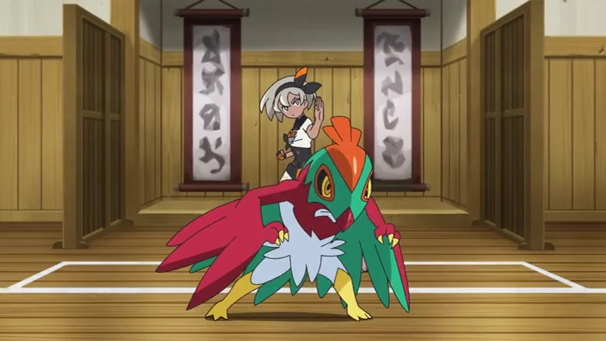 Hawlucha | Animated Character Database | Fandom