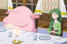 Chansey | Animated Character Database | Fandom