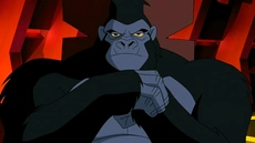 Gorilla Grodd | Animated Character Database | Fandom