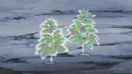 Paradise Herb | Animated Character Database | Fandom