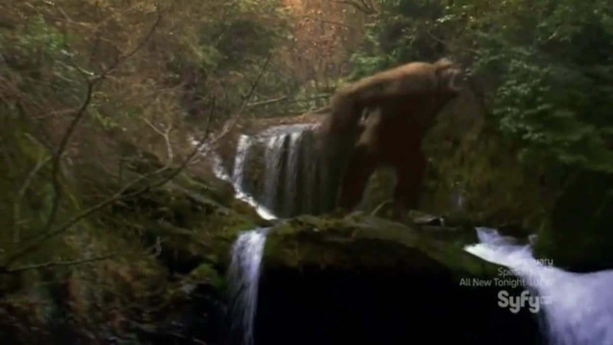 Yeren | Animated Character Database | Fandom