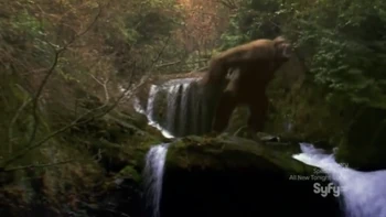 Yeren | Animated Character Database | Fandom