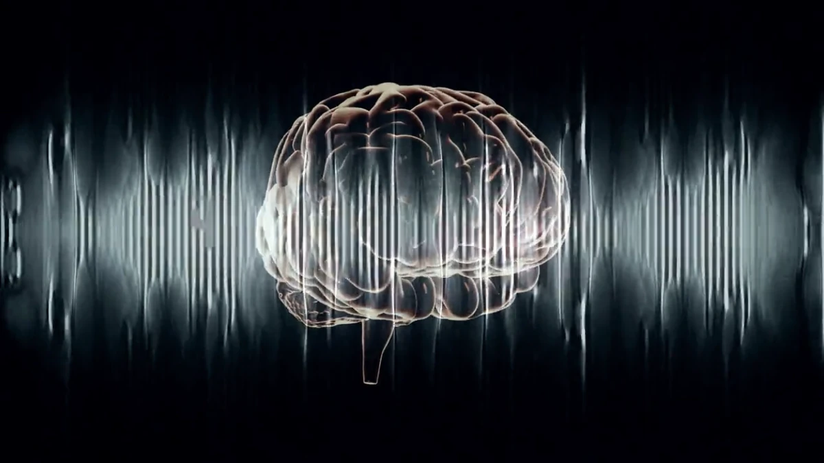 110 Hz | Animated Character Database | Fandom