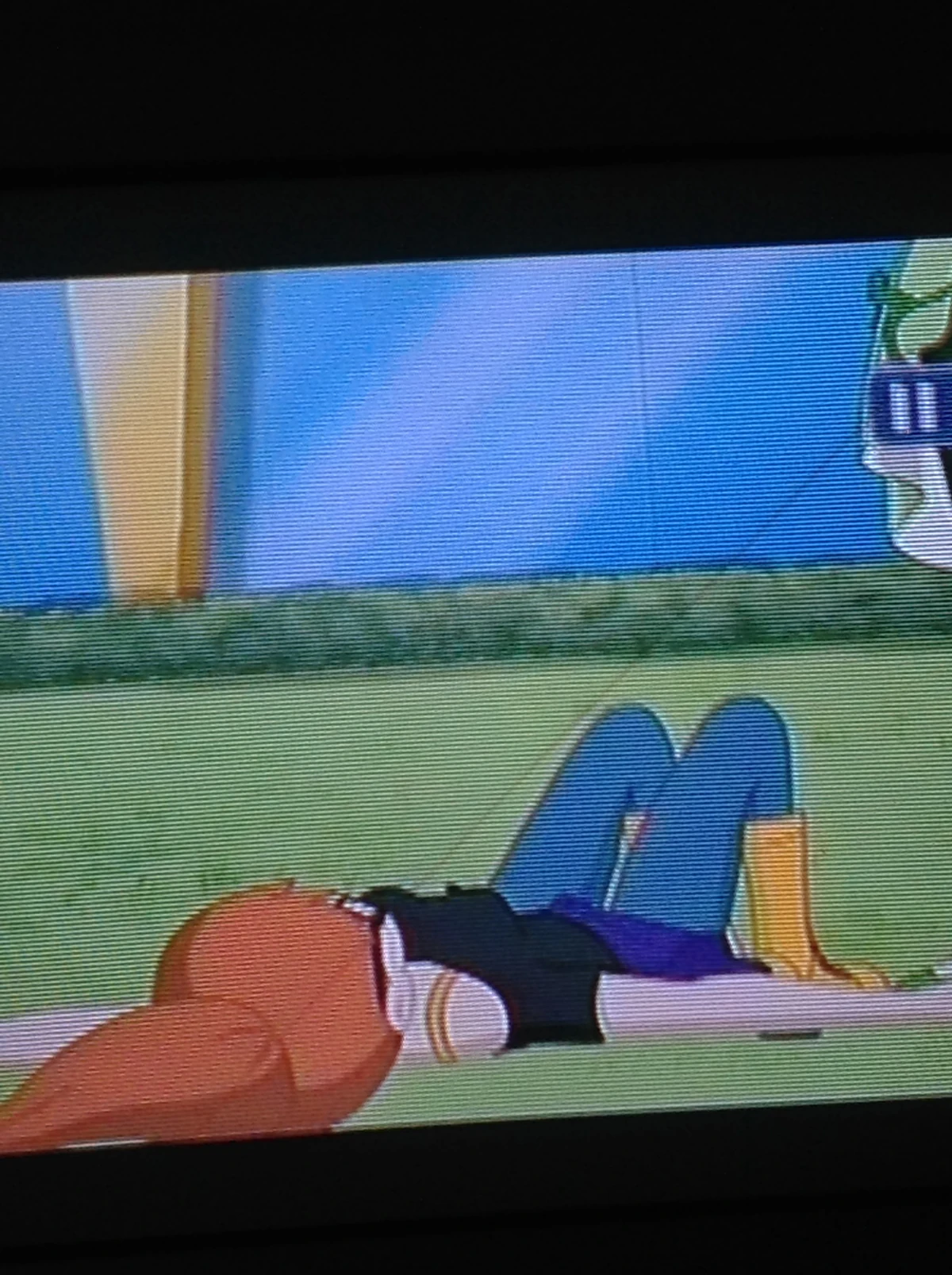 Barbara Gordon(Batgirl) (DC Super Hero Girls) | Animated Character ...