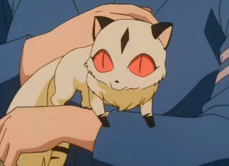 Kirara | Animated Character Database | Fandom