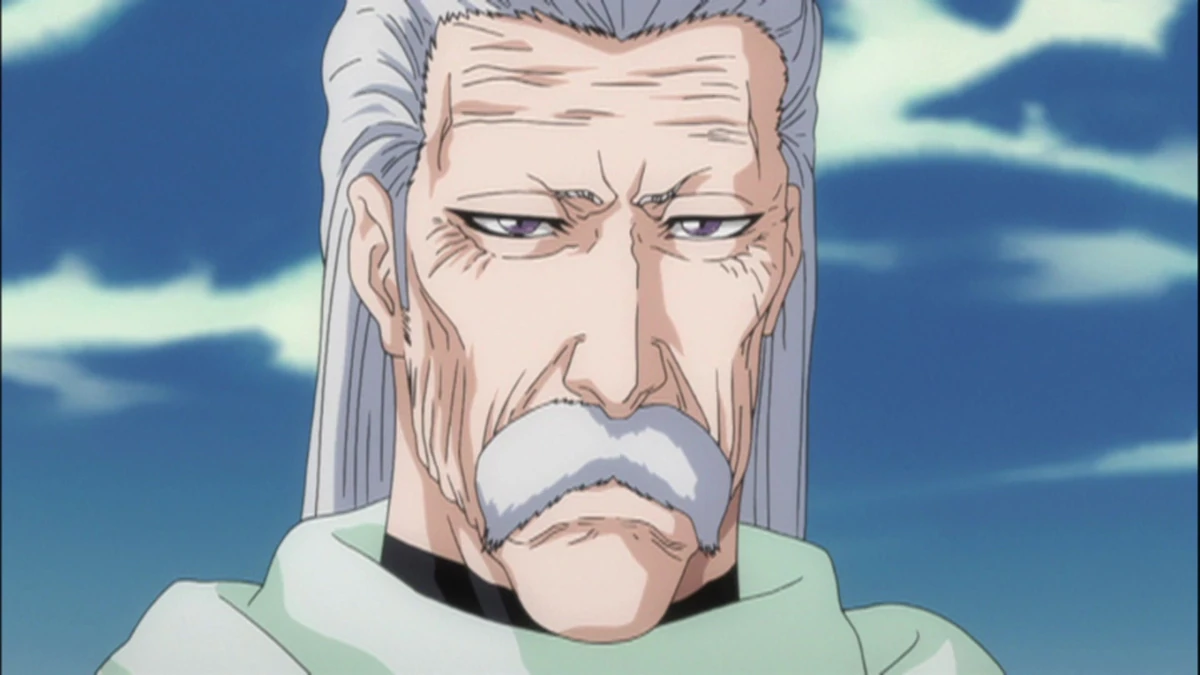 Ginrei Kuchiki | Animated Character Database | Fandom