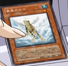 Treeborn Frog | Animated Character Database | Fandom