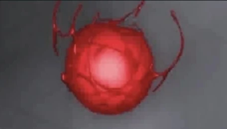 Worm Eater | Animated Character Database | Fandom