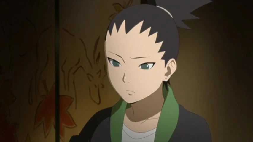 Shikadai Nara | Animated Character Database | Fandom