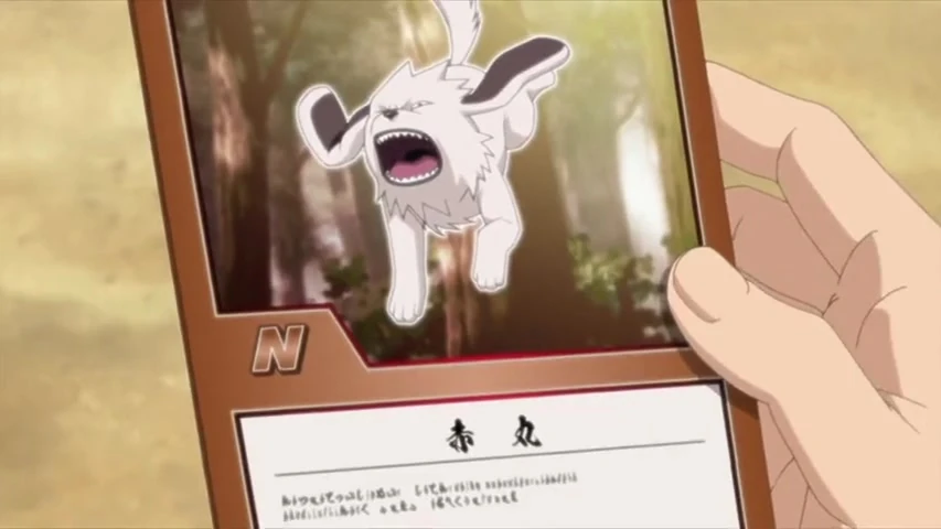 Akamaru | Animated Character Database | Fandom