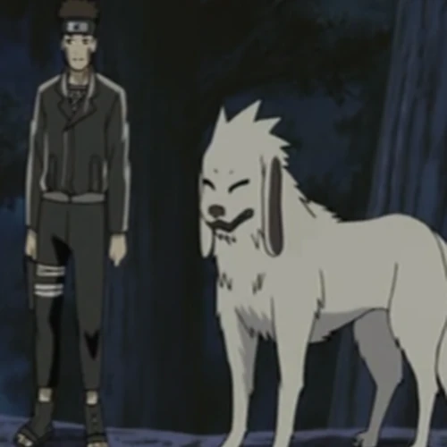 Kiba And Karui