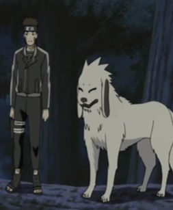Kiba Inuzuka | Animated Character Database | Fandom