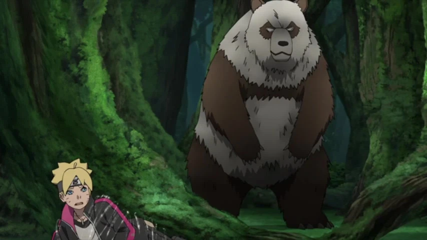 Kuma Panda | Animated Character Database | Fandom