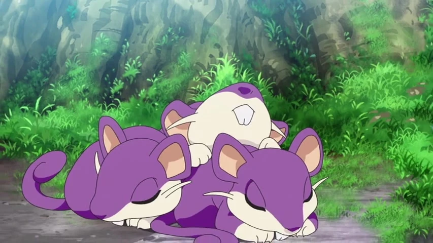 Rattata | Animated Character Database | Fandom