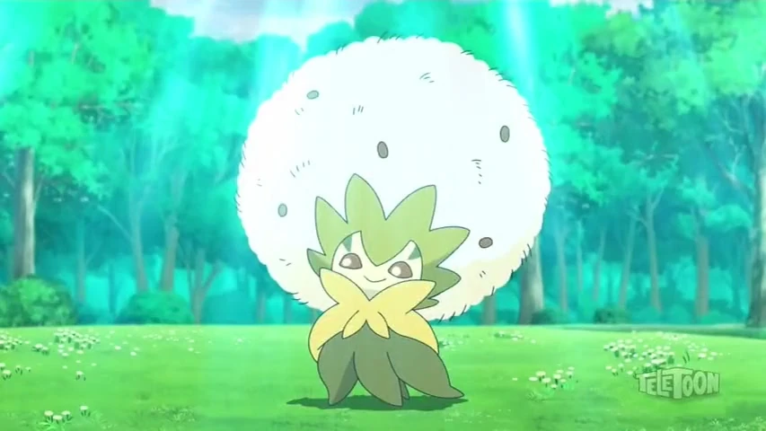 Eldegoss | Animated Character Database | Fandom