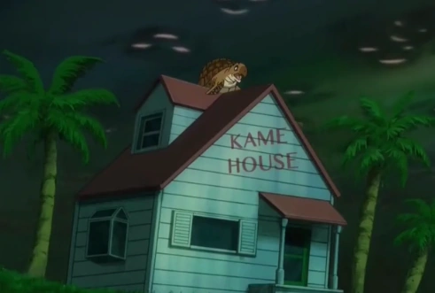 Kame House | Animated Character Database | Fandom