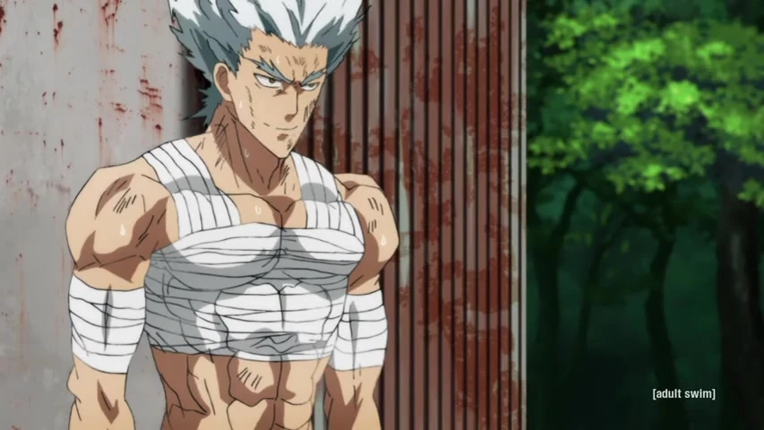 Garou | Animated Character Database | Fandom