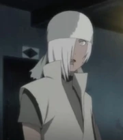 Ryuzetsu | Animated Character Database | Fandom