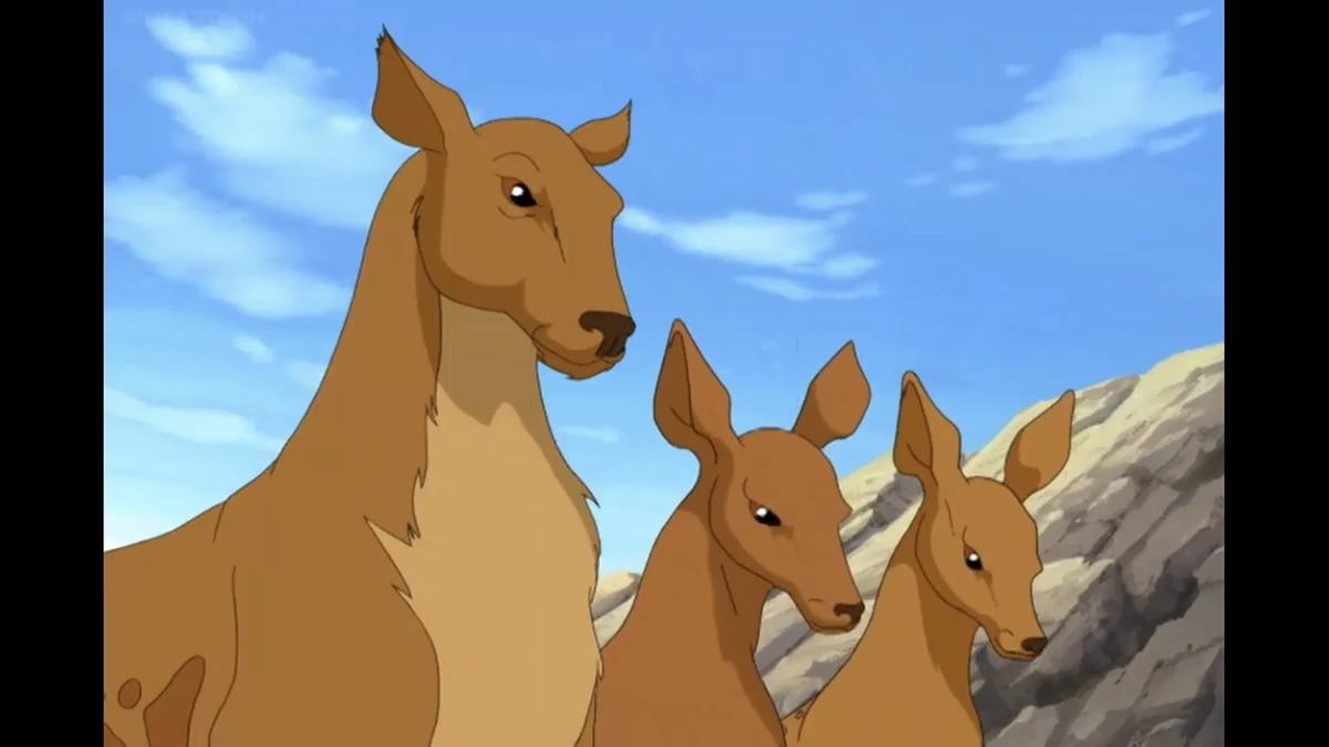 Deer | Animated Character Database | Fandom