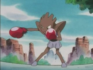 Hitmonchan | Animated Character Database | Fandom