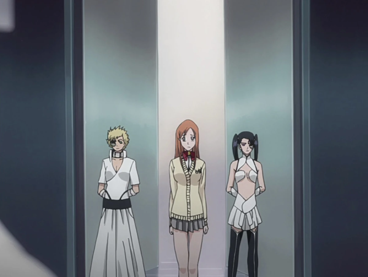 Orihime Inoue/Image Gallery | Animated Character Database | Fandom