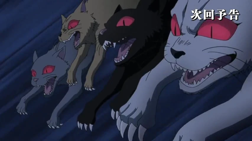 Cat Demon | Animated Character Database | Fandom