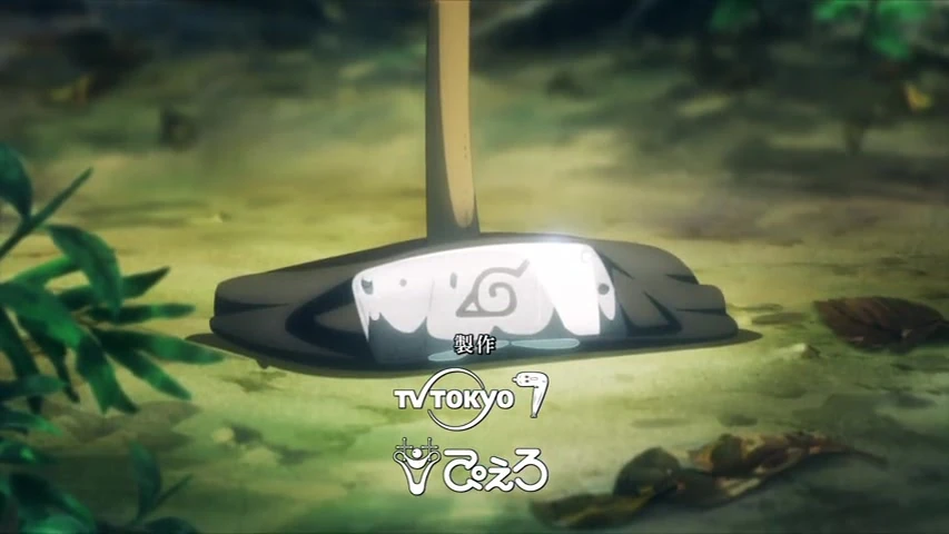 Forehead Protector | Animated Character Database | Fandom