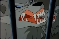 Alaskan Timber Wolves | Animated Character Database | Fandom