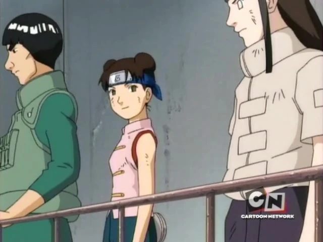 Tenten/Image Gallery | Animated Character Database | Fandom