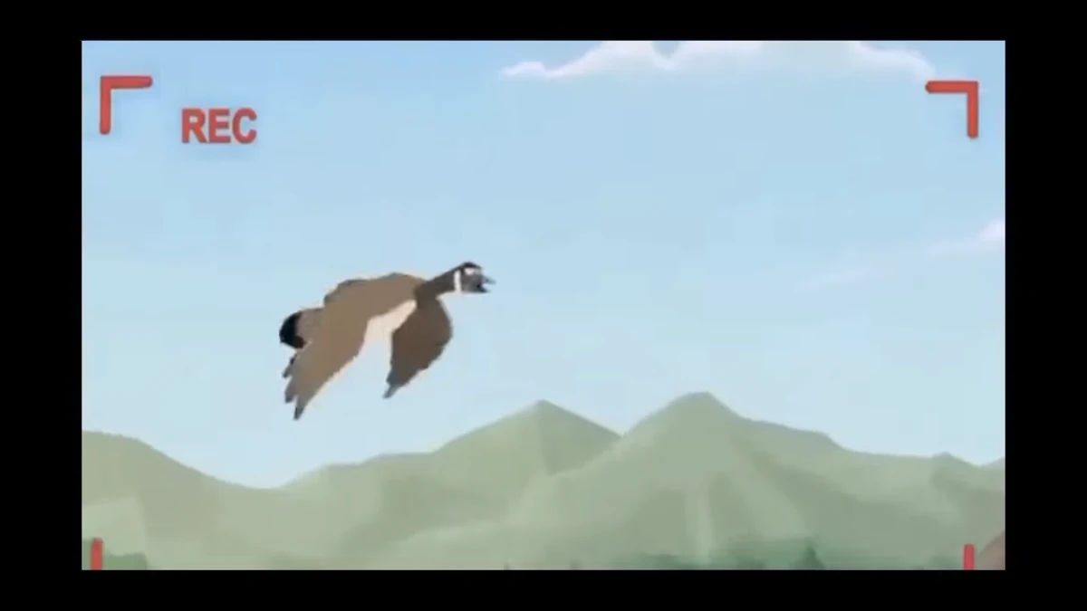 Canadian Goose | Animated Character Database | Fandom