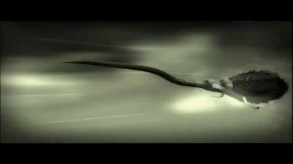 Firebolt | Animated Character Database | Fandom