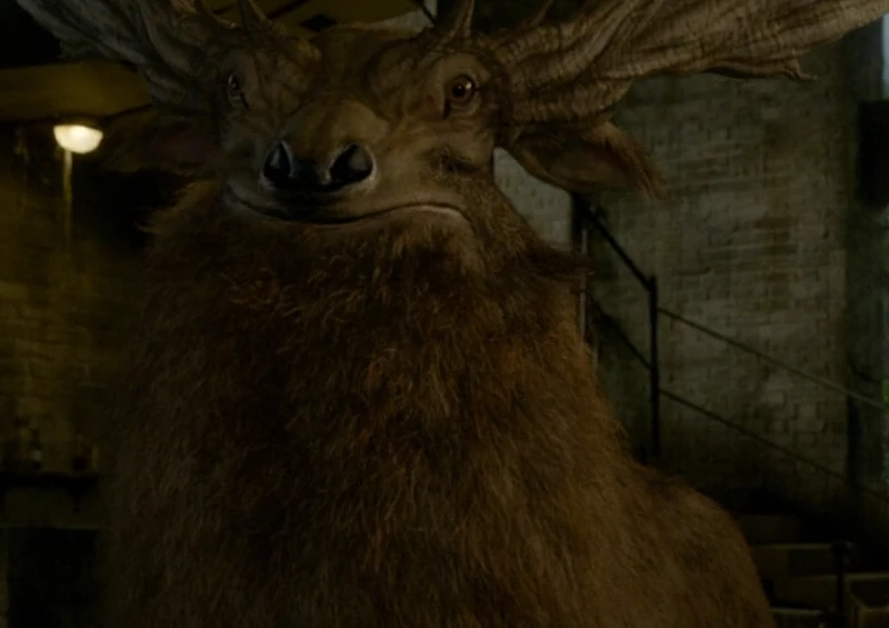 Leucrotta | Animated Character Database | Fandom