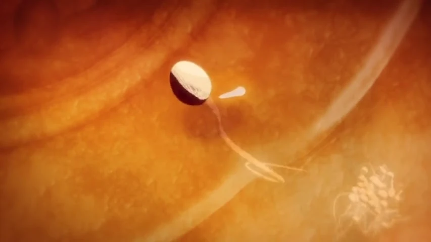 Reproduction | Animated Character Database | Fandom