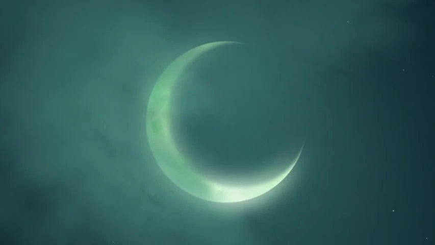 Crescent | Animated Character Database | Fandom