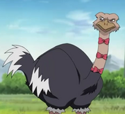 Mr. Ostrich | Animated Character Database | Fandom