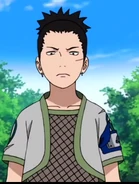 Shikamaru Nara (Tsunades Infinite Tsukuyomi) | Animated Character Database | Fandom