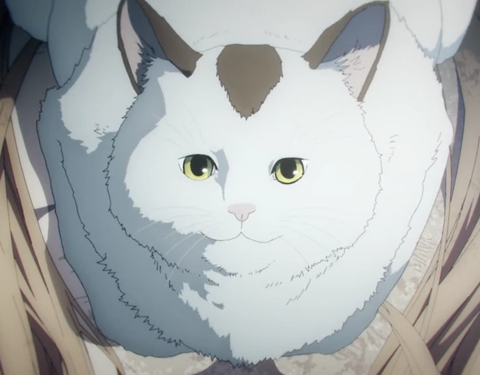 Meowy | Animated Character Database | Fandom