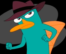Perry the Platypus | Animated Character Database | Fandom