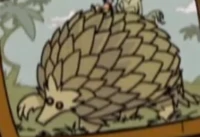 Veo | Animated Character Database | Fandom